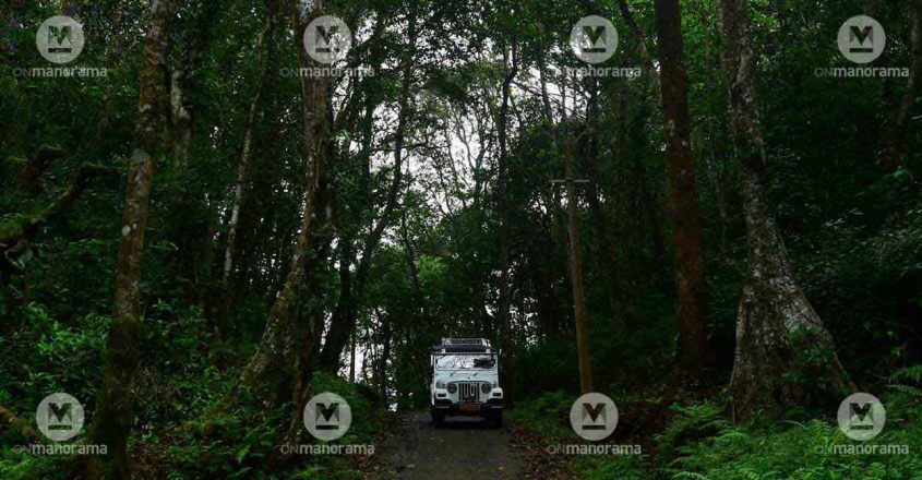 A journey to Churuli village through the forests of Wayanad | Travel ...