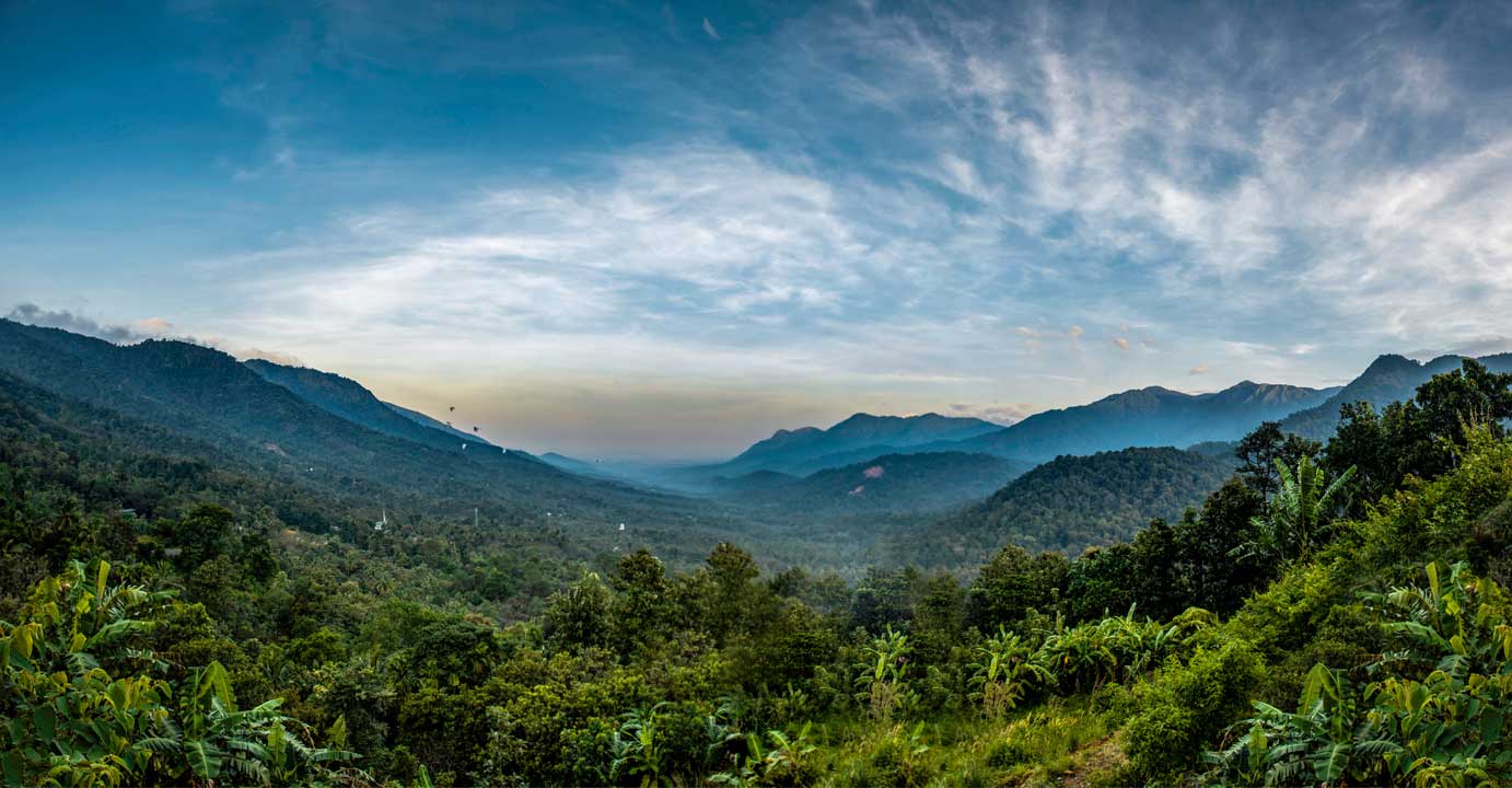 Wayanad Where To Go | Wayanad Where To Go