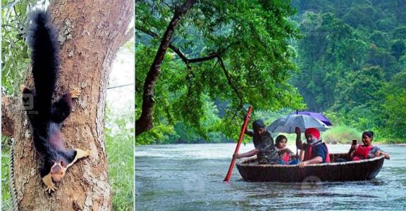 Friendly Indian Giant squirrel welcomes visitors at the Adavi Eco ...