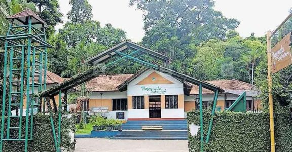 The butterfly park at Thenmala is home to more than 150 species ...