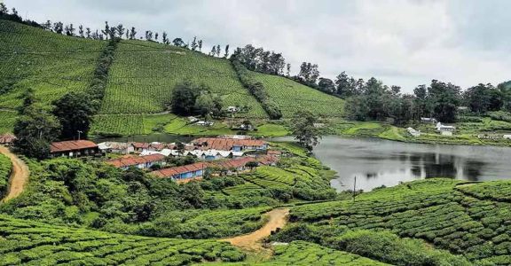 Meghamala opens for tourists as Arikomban no longer poses a threat ...