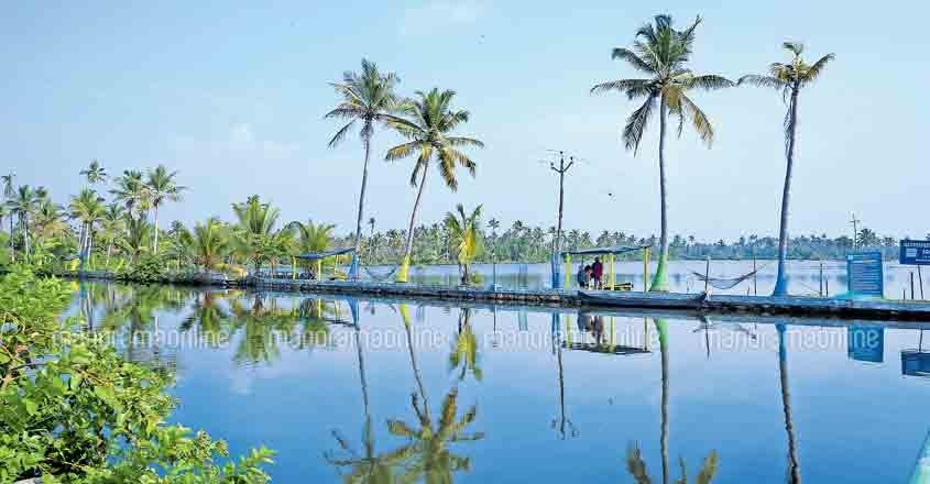 This Christmas season, Matsyafed farm is all set to entertain tourists ...