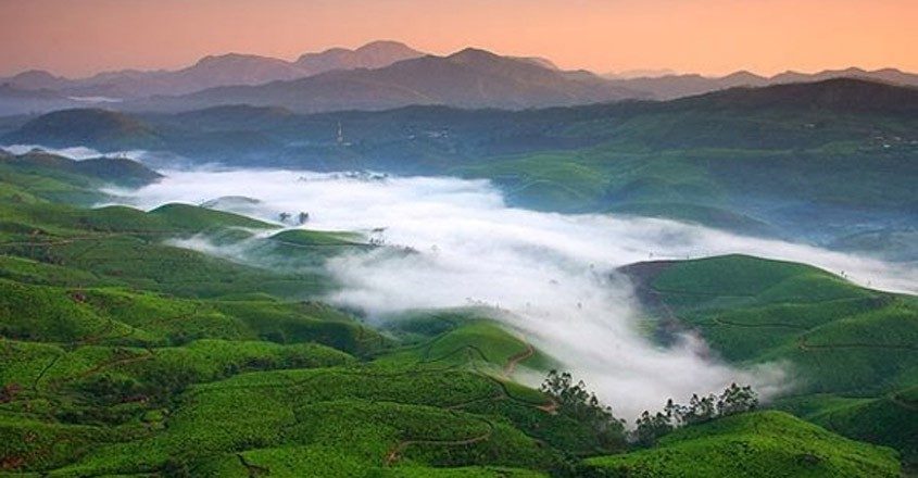 Munnar, a beauty draped in mist | Travel News | Idukki | Manorama English