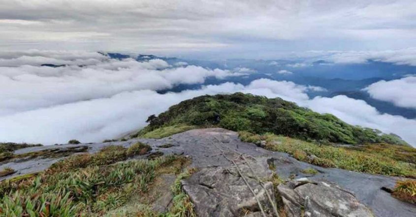 Agasthyarkoodam trekking: Online booking resumes | Travel News ...