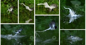 Nedungad : This unexplored village in Kochi is the location of ...