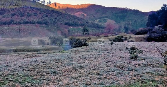 Munnar shivers with mercury dropping below zero degree Celsius