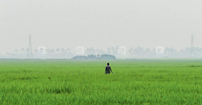 Malarickal beckons tourists for its maiden water tourism festival