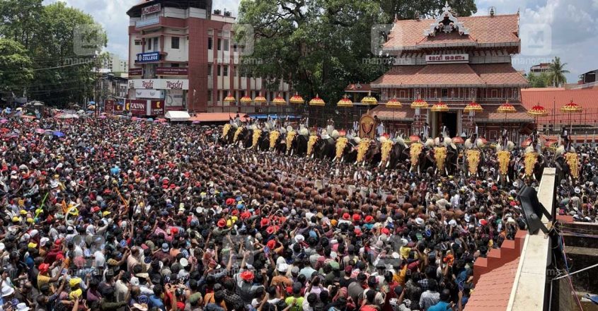Premalu, Manjummel Boys and Gaganyan to feature on Thrissur Pooram fireworks: Details | Kerala ...