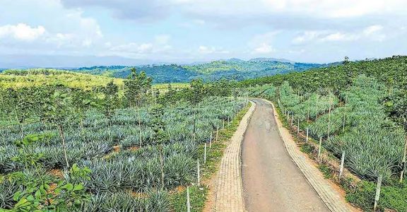 PWD considers developing roads that lead to Sabarimala airport | Travel ...