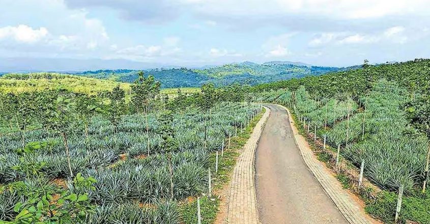 PWD considers developing roads that lead to Sabarimala airport | Travel ...