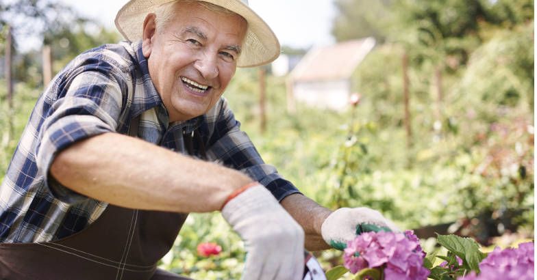 Gardening can make old people stay more healthy | old | healthy ...