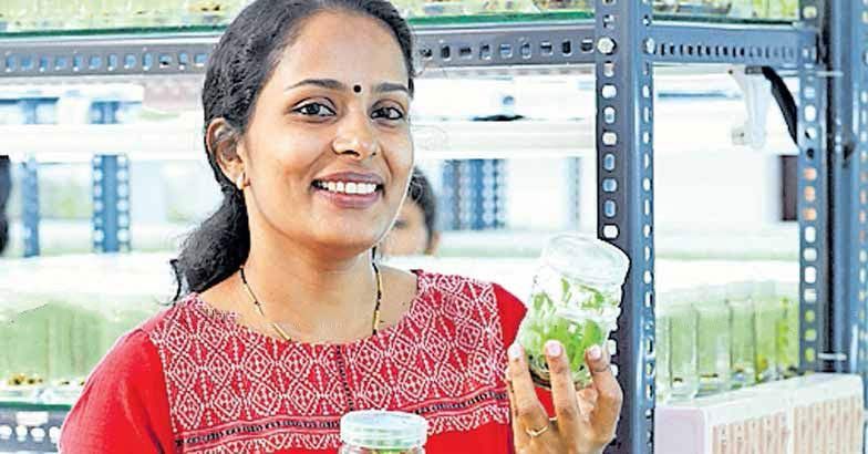 Bindhya overcomes self-doubt, cynicism to set up popular tissue culture ...